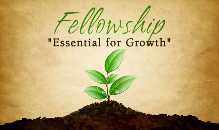 Fellowship Meeting Committee – Trinity Lutheran Church – Mount Joy, PA